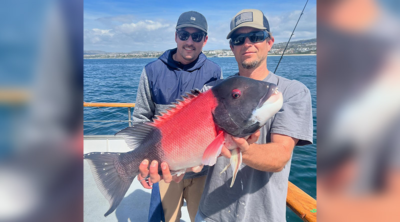 Featured Catch: That’s a Big Sheepshead! | The Log