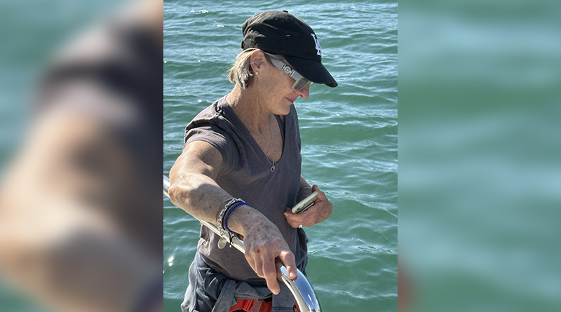 Harbor Hero: Paddleboarder Rescues Great Horned Owl in Dana Point | The Log